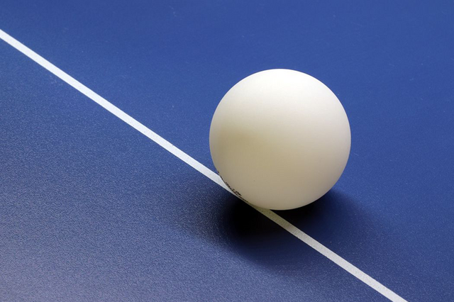 1.º Torneio de Polybat | Câmara Municipal do Seixal