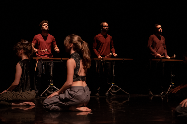 TIMBER | Câmara Municipal do Seixal